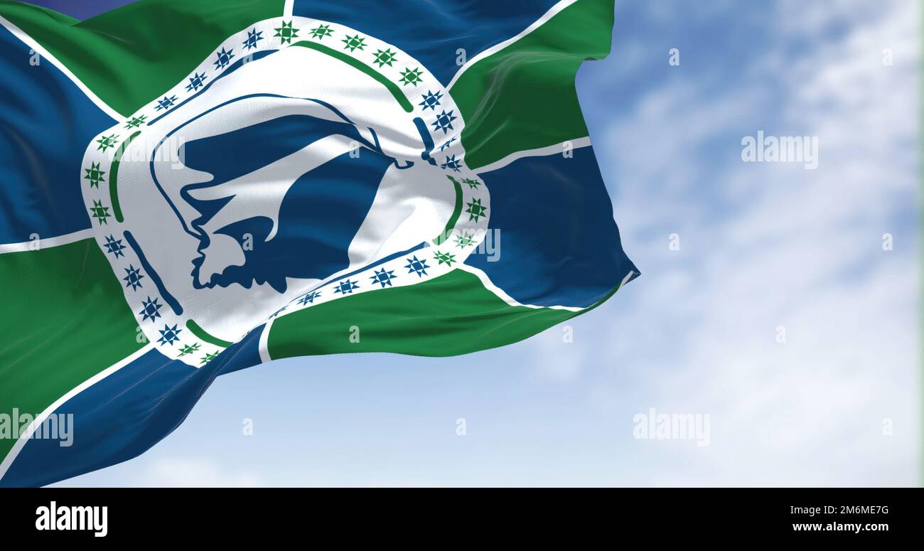 Flag of Martinique waving in the wind on a clear day Stock Photo - Alamy