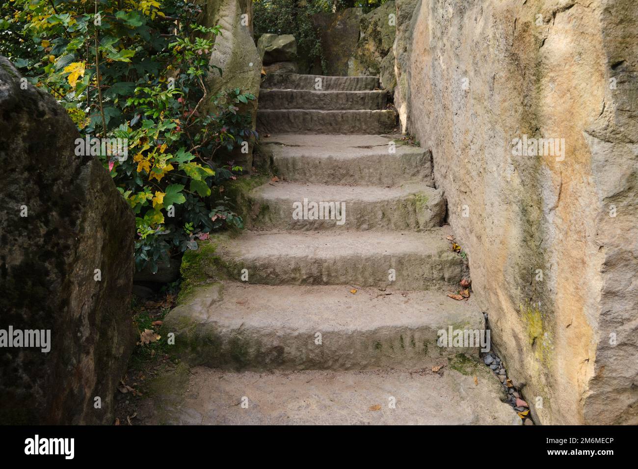 Old stone stairs steps historical ancient places vegetation on side ...