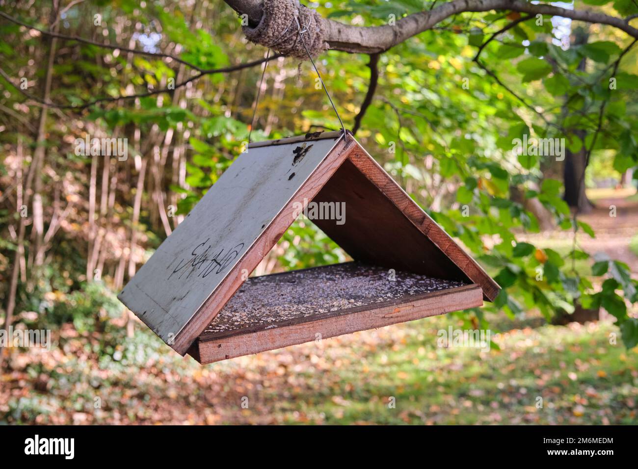 small bird tit wooden feeder Hanging bird house attached to tree branch ...