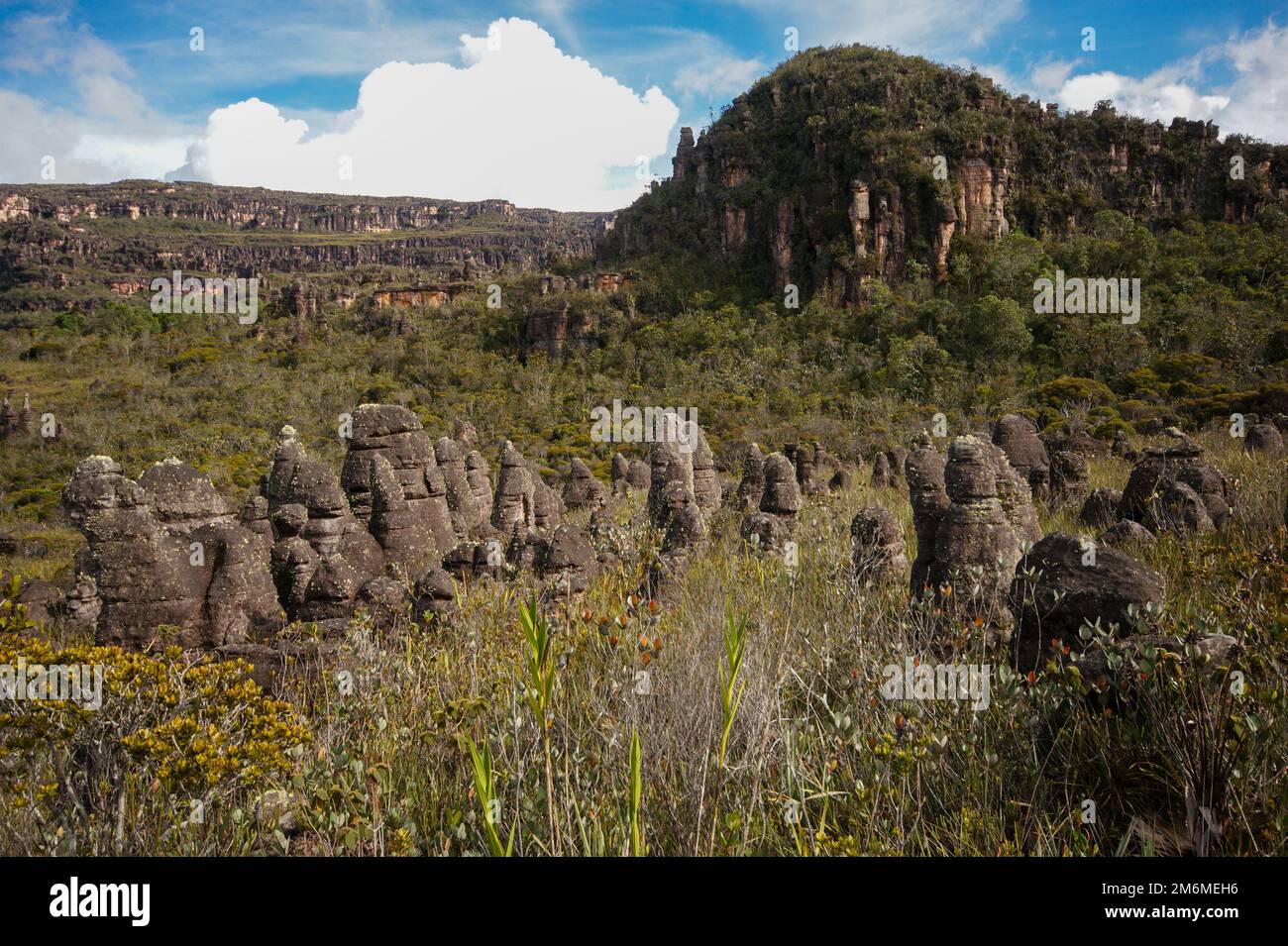 Hills and sandstone rock formations with black pillars and columns on ...