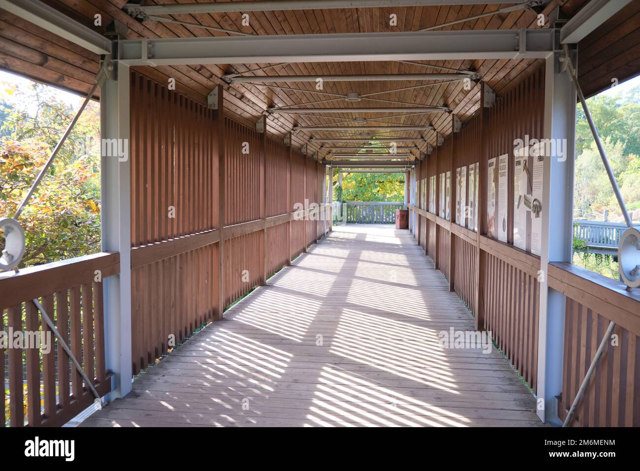 Elevated pedestrian bridge wooden with railings in city park outdoor no ...