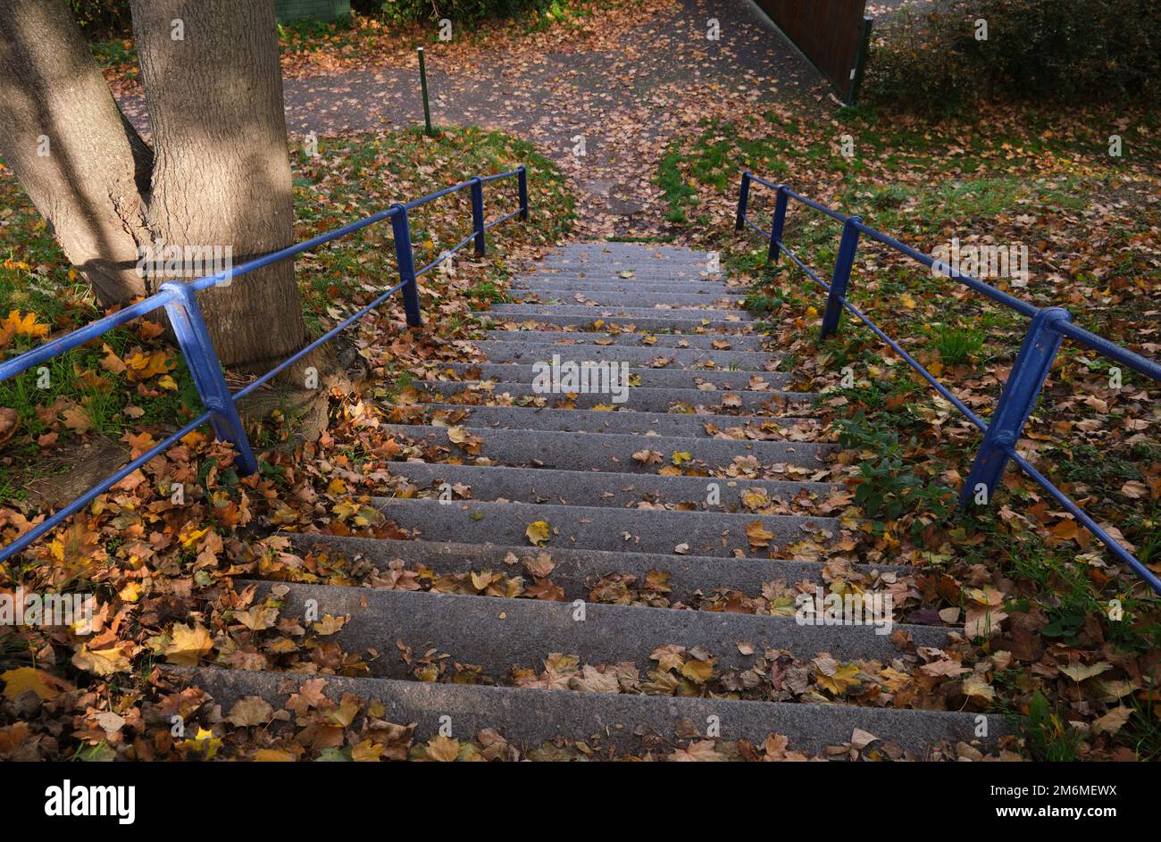 Concrete Stone stairs in the city park are covered with colorful autumn ... Concrete Stone stairs in the city park are covered with colorful autumn ...
