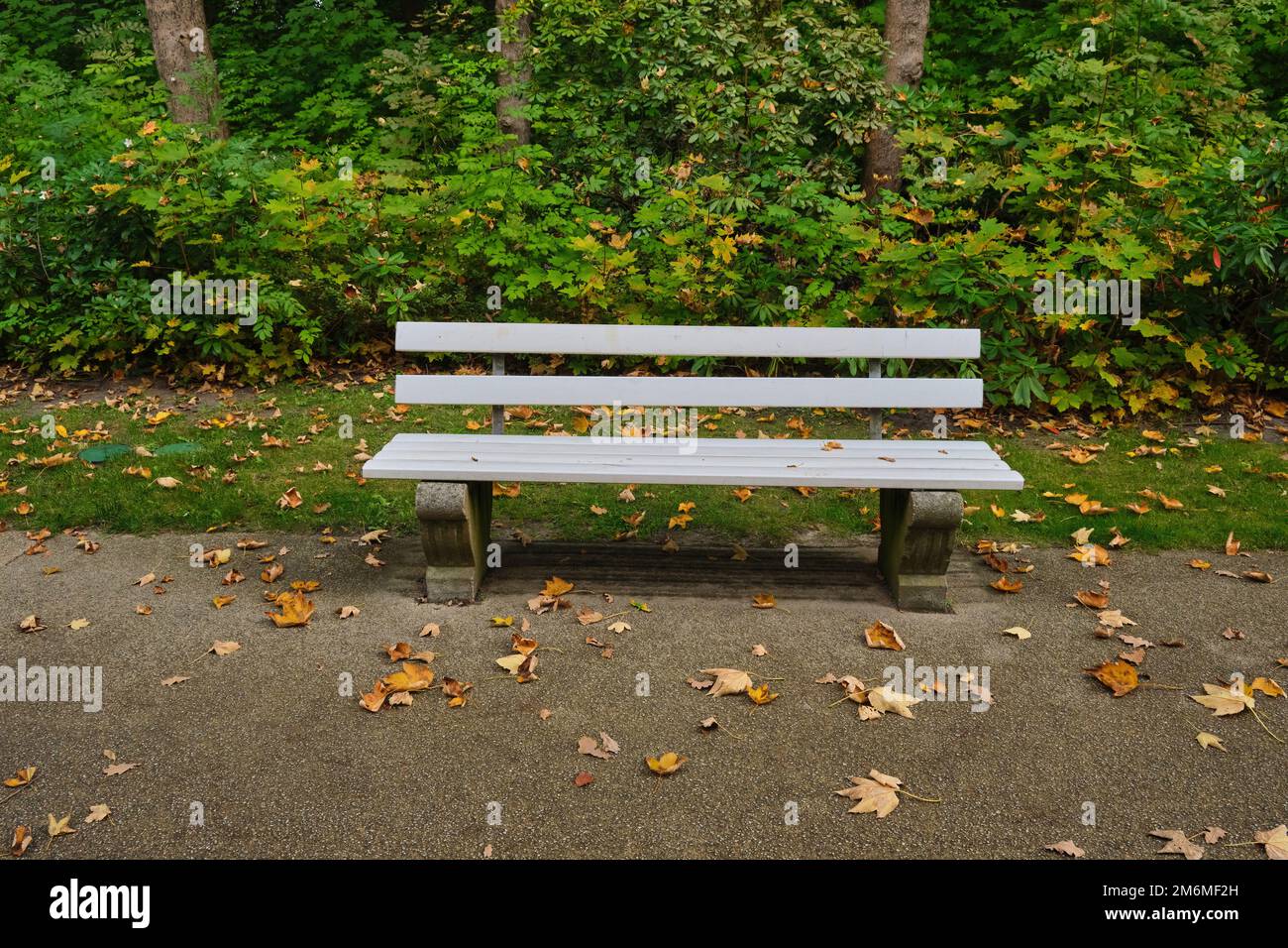 Lonely Bench in the City Park in autumn leaves on alley Stock Photo - Alamy