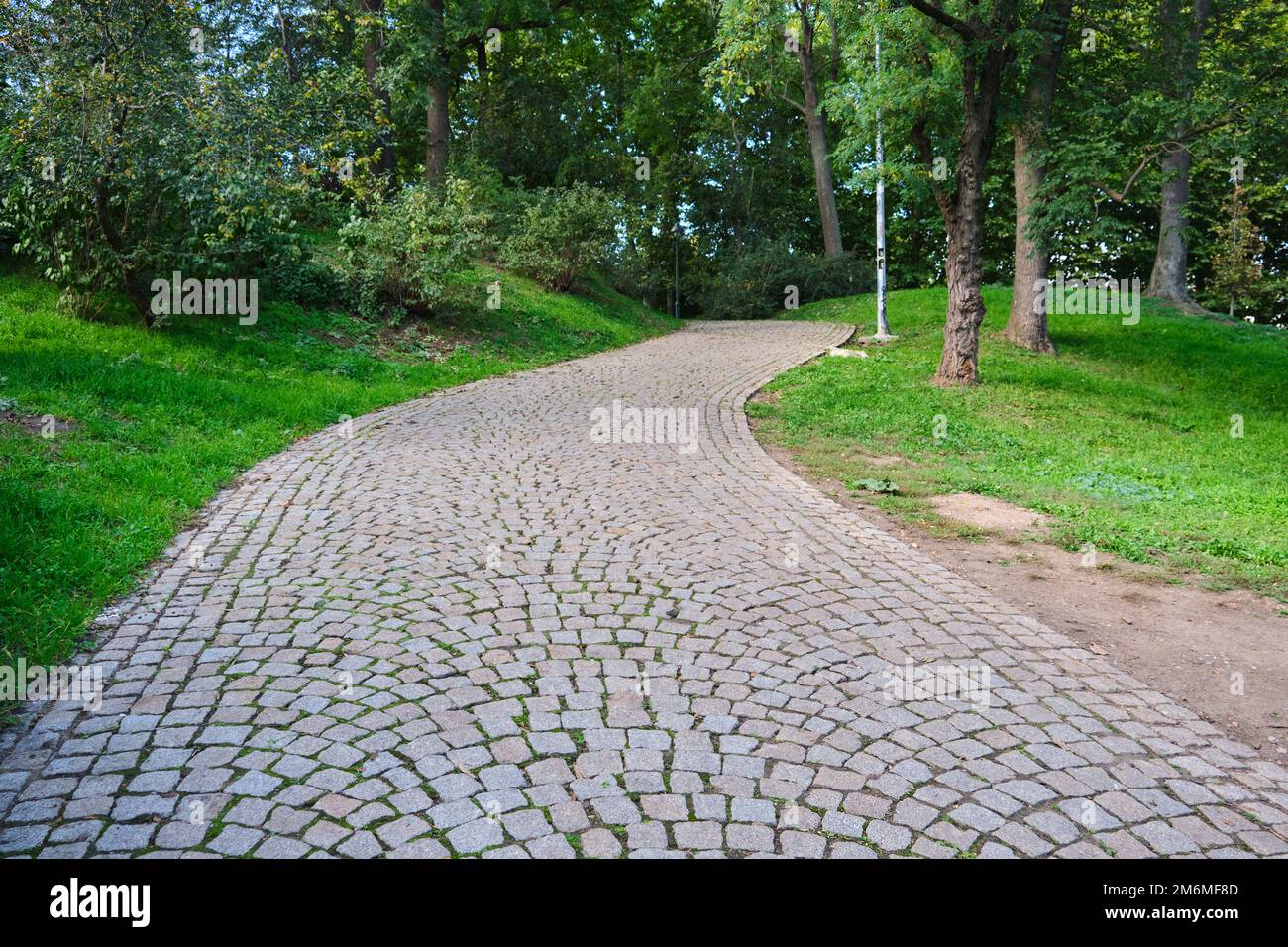 Park alley walking pathway perspective old pavement Stock Photo - Alamy