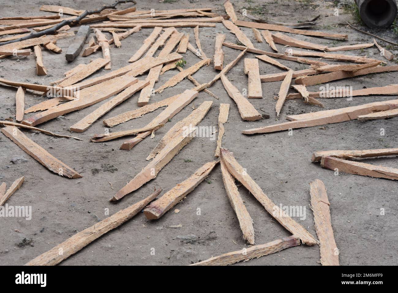 Native east asia hi-res stock photography and images - Alamy