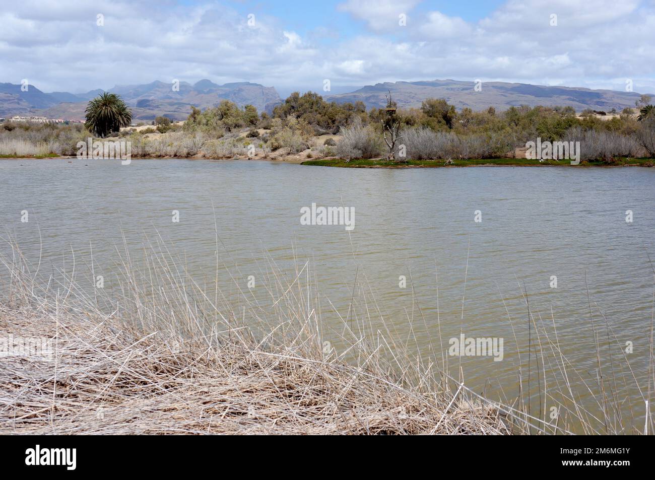 La Charca de Maspalomas lake Stock Photo - Alamy