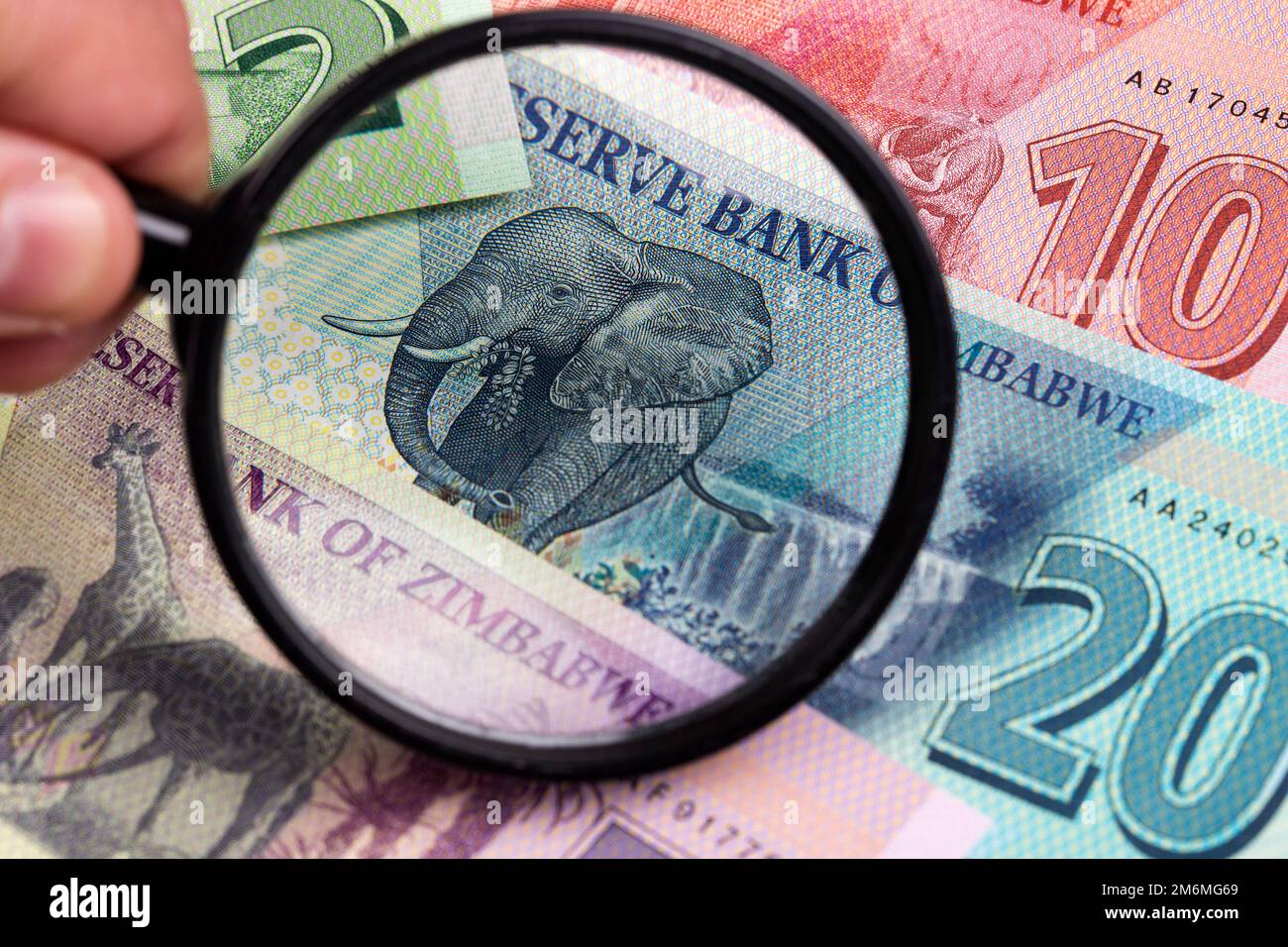 Zimbabwean money - New serie of banknotes in a magnifying glass Stock ...