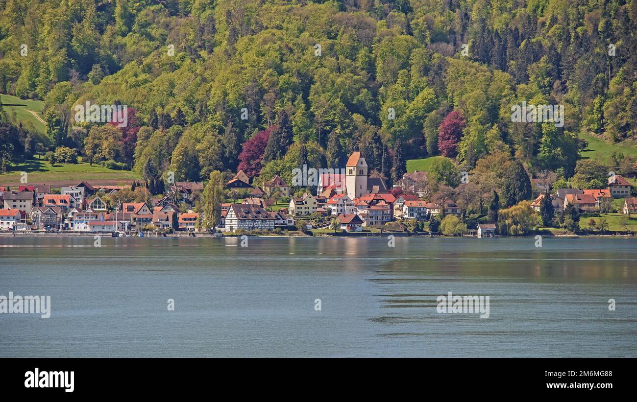Bodman with St. Peter and Paul, Bodman-Ludwigshafen Stock Photo - Alamy