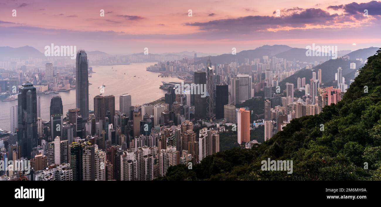 High perspective of Hong Kong city landscape Stock Photo - Alamy