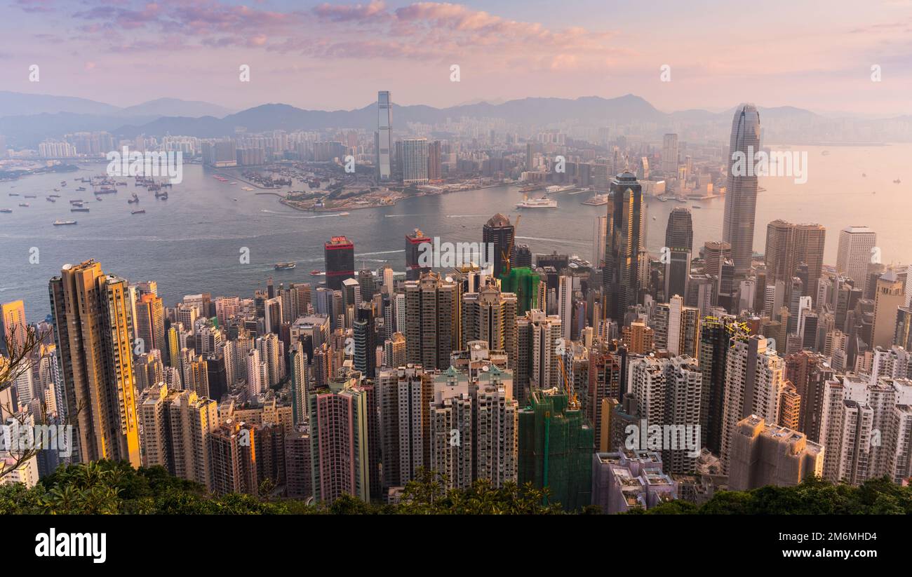 High perspective of Hong Kong city landscape Stock Photo - Alamy