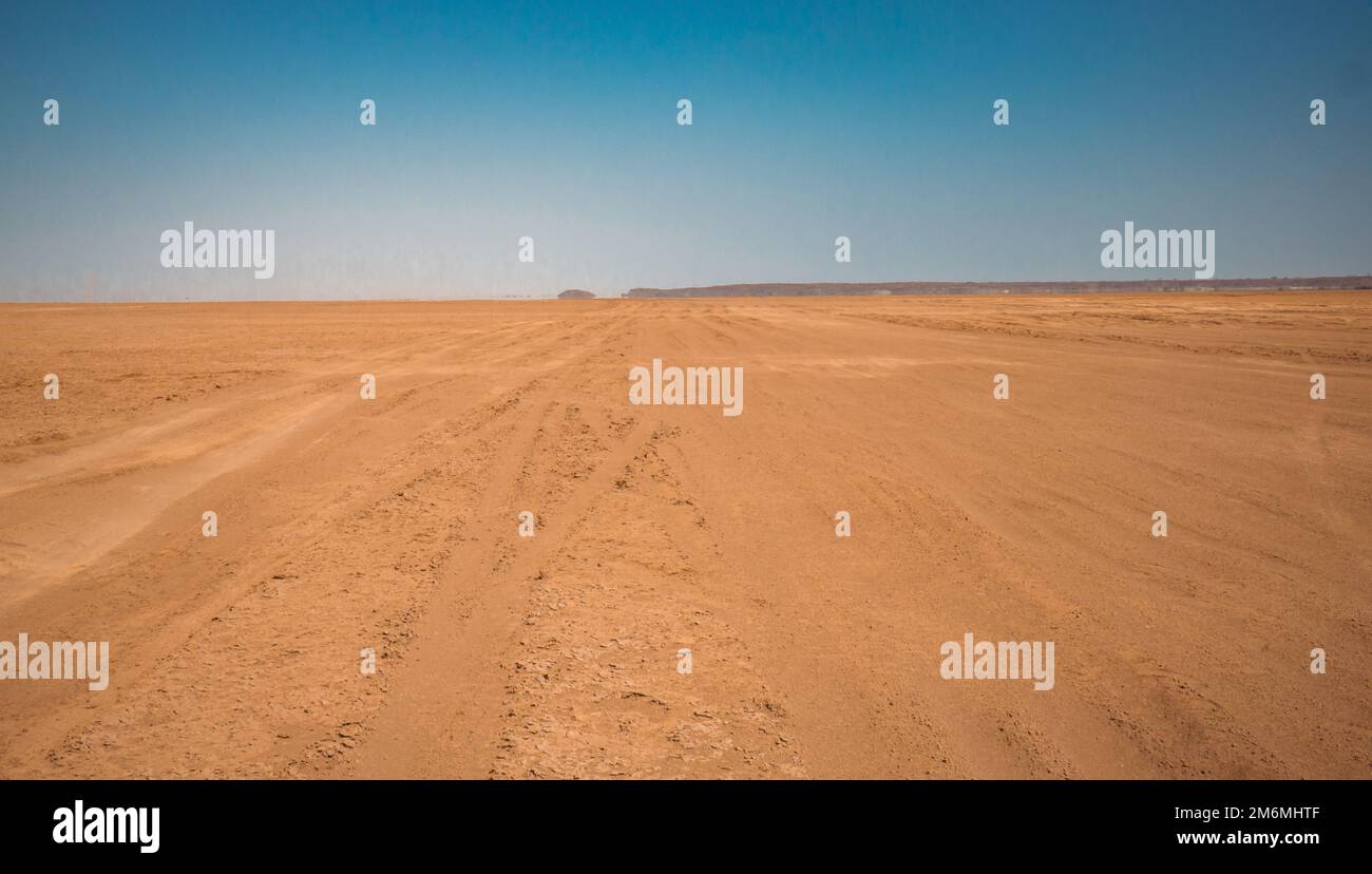 Scenic view of acacia trees growing in Chalbi Desert, Kenya Stock Photo ...