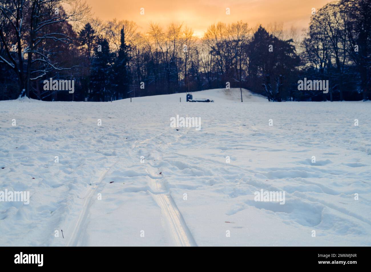 Trails in snow of sled leading to sleigh riding hill in out of focus ...
