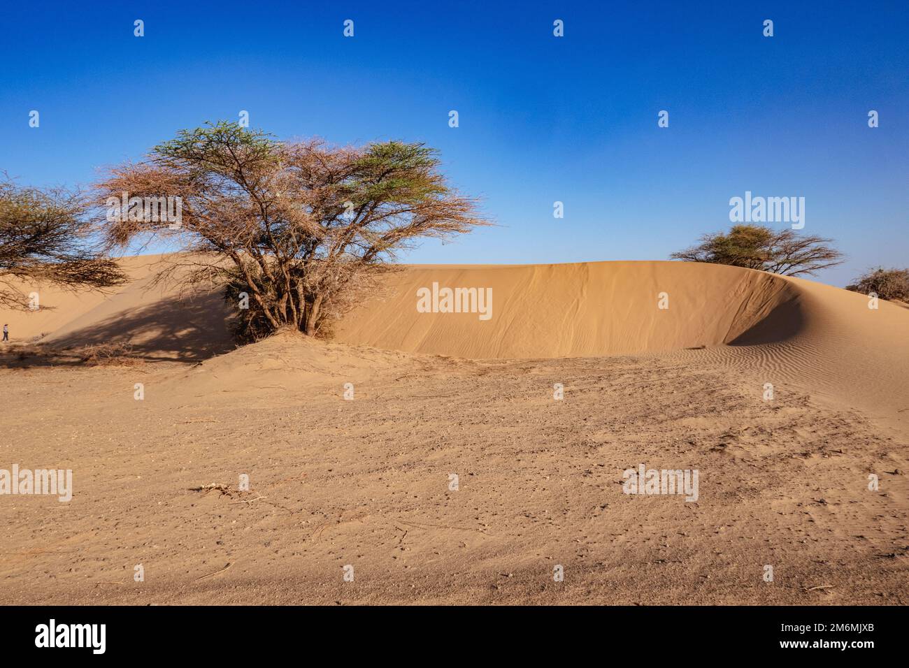 North horr sand dunes hi-res stock photography and images - Alamy