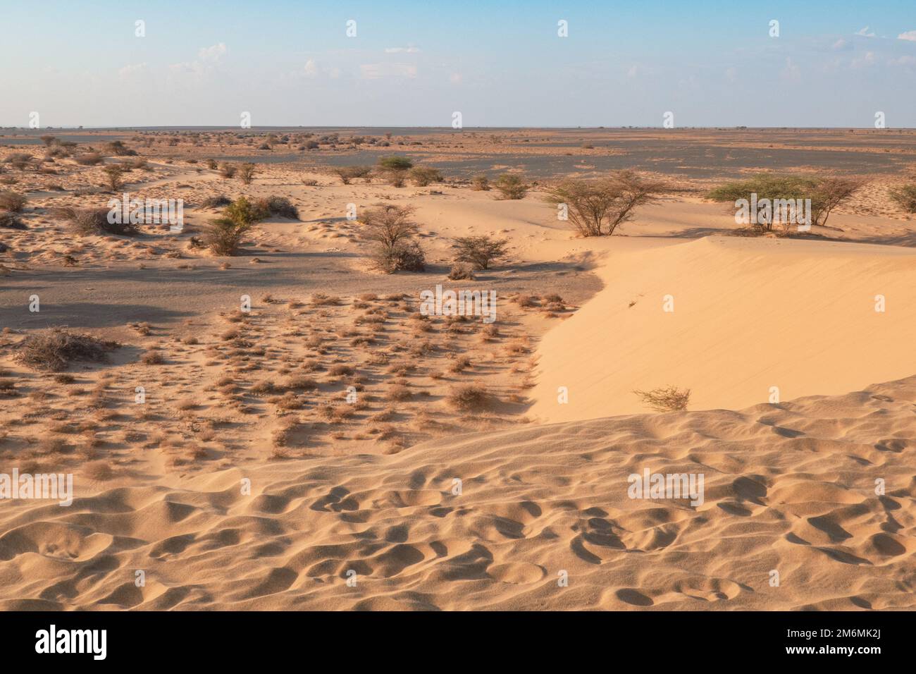 Scenic view of North Horr Sand Dunes in Marsabit County, Kenya Stock ...