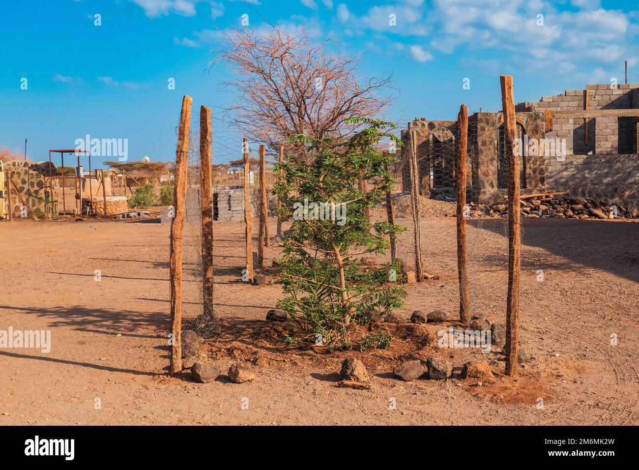 Desert planting trees hi-res stock photography and images - Alamy