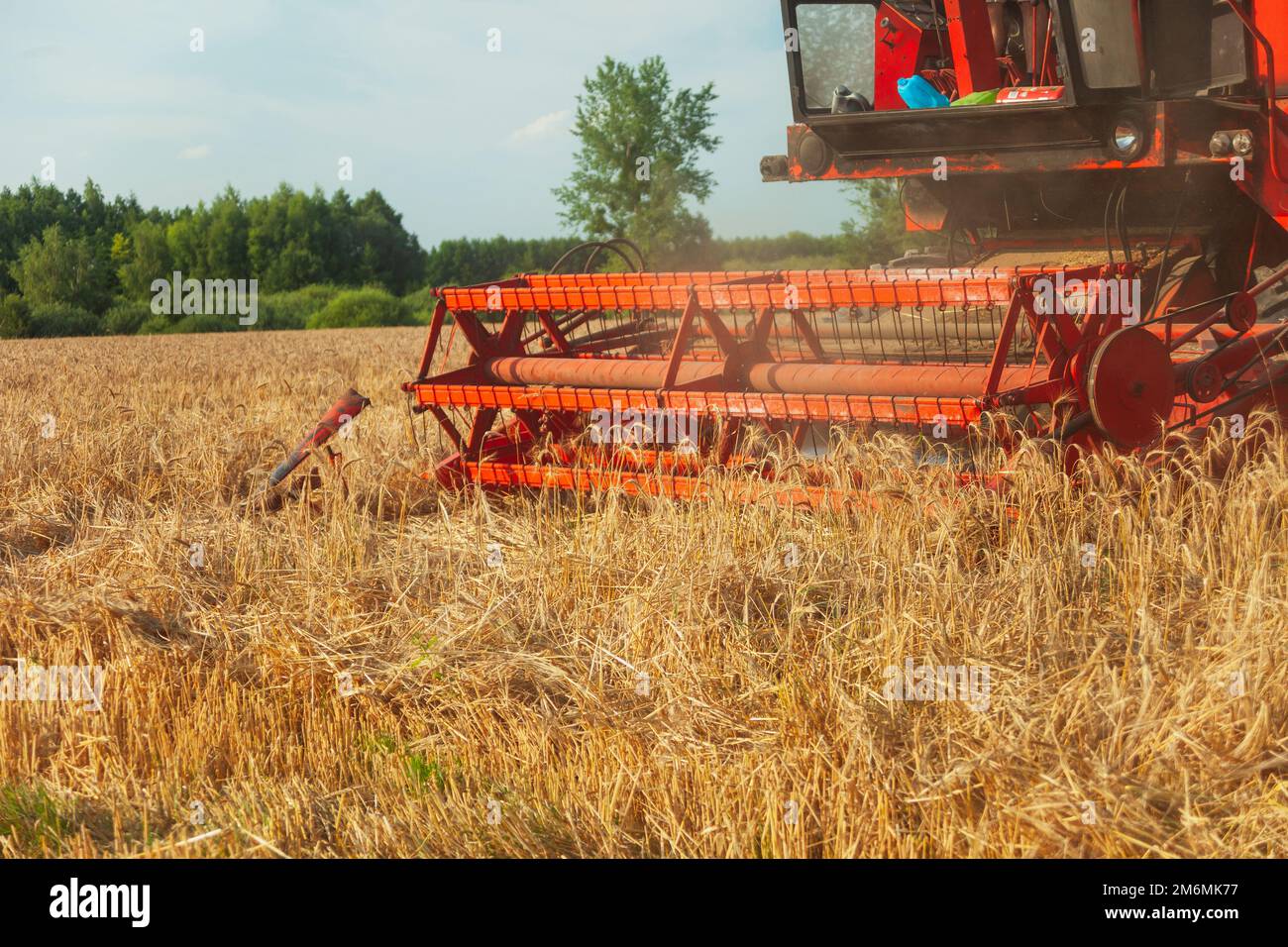 A field with grain and a mowing harvester Stock Photo - Alamy