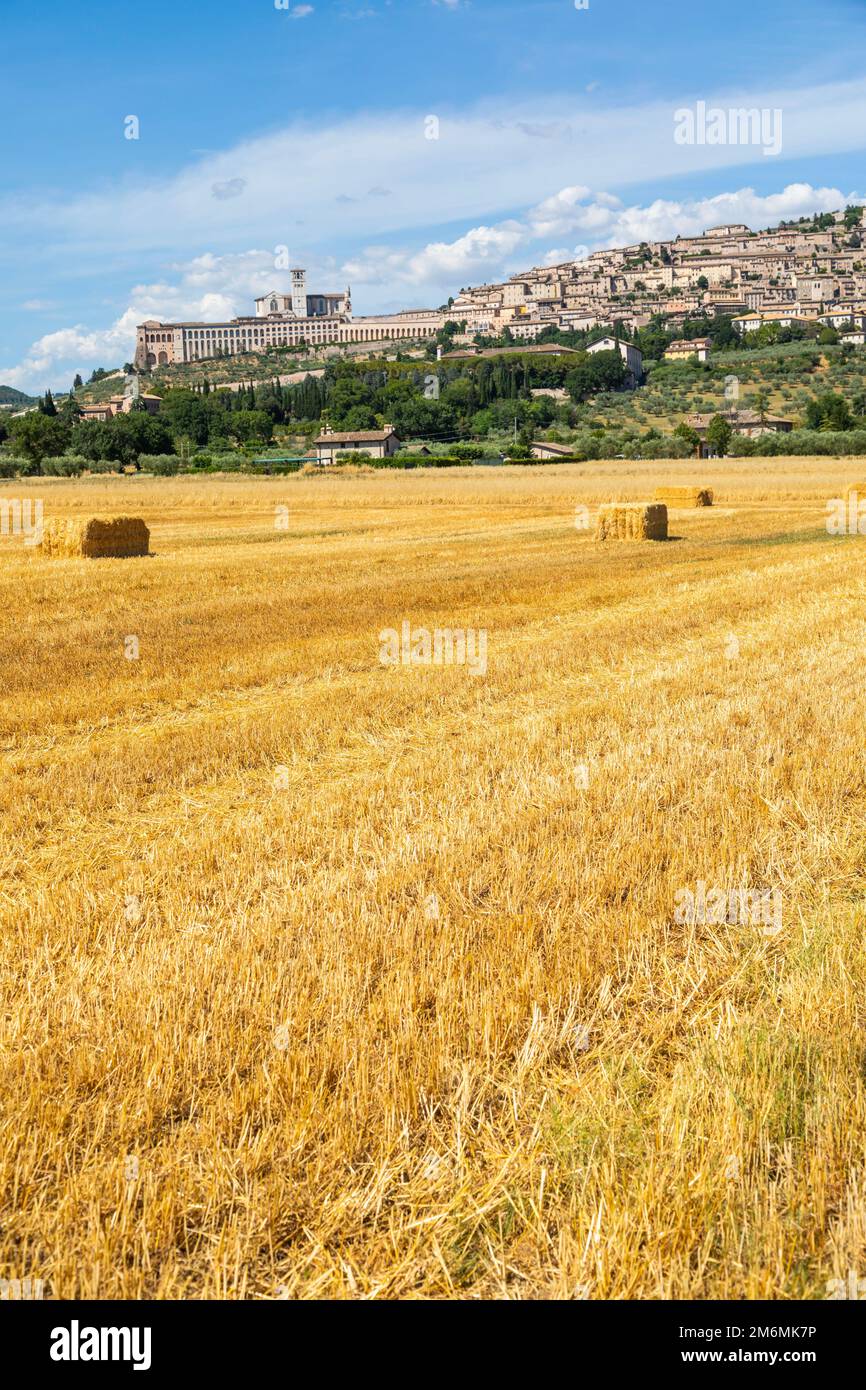 Assisi village in Umbria region, Italy. The town is famous for the most ...