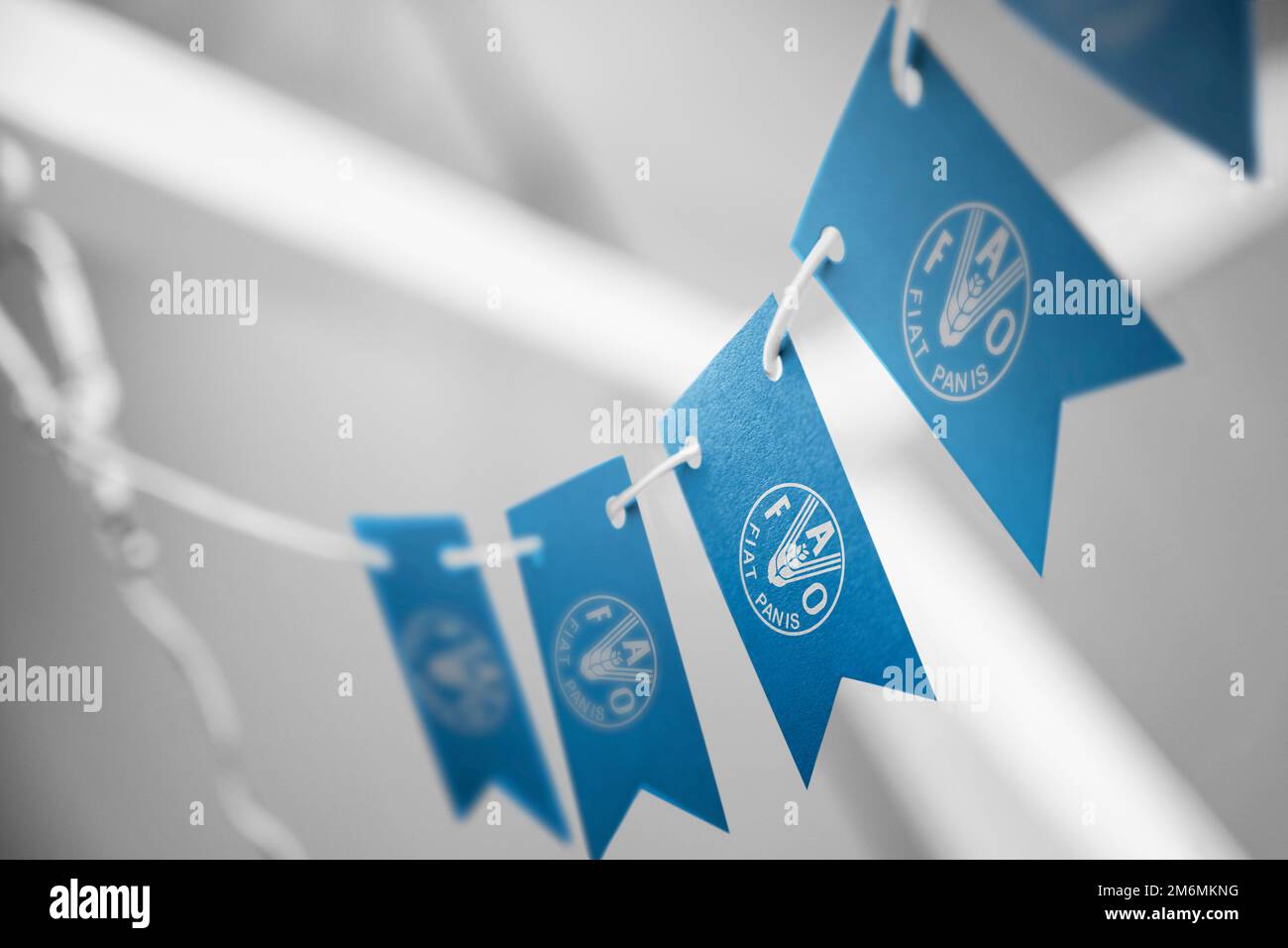 A garland of Food and agriculture organization national flags on an ...