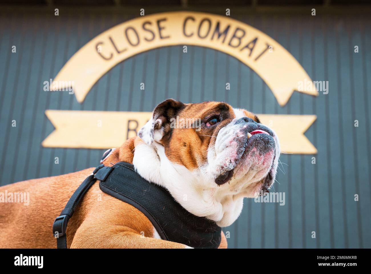 Cpl manny hi-res stock photography and images - Alamy