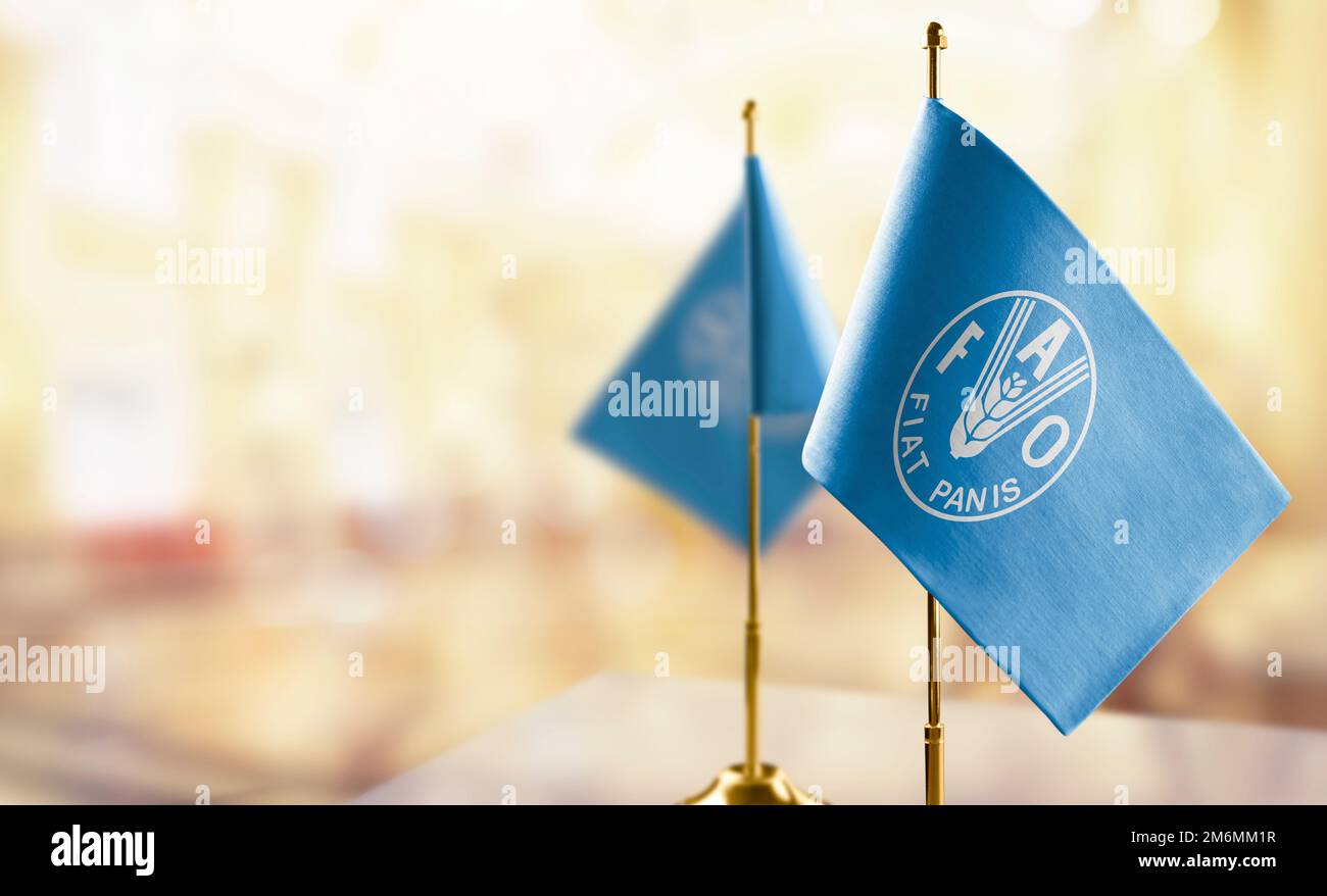 Small flags of the Food and agriculture organization on an abstract ...