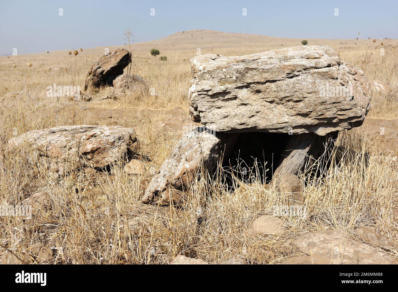 Gamla Nature Reserve in Israel Stock Photo - Alamy