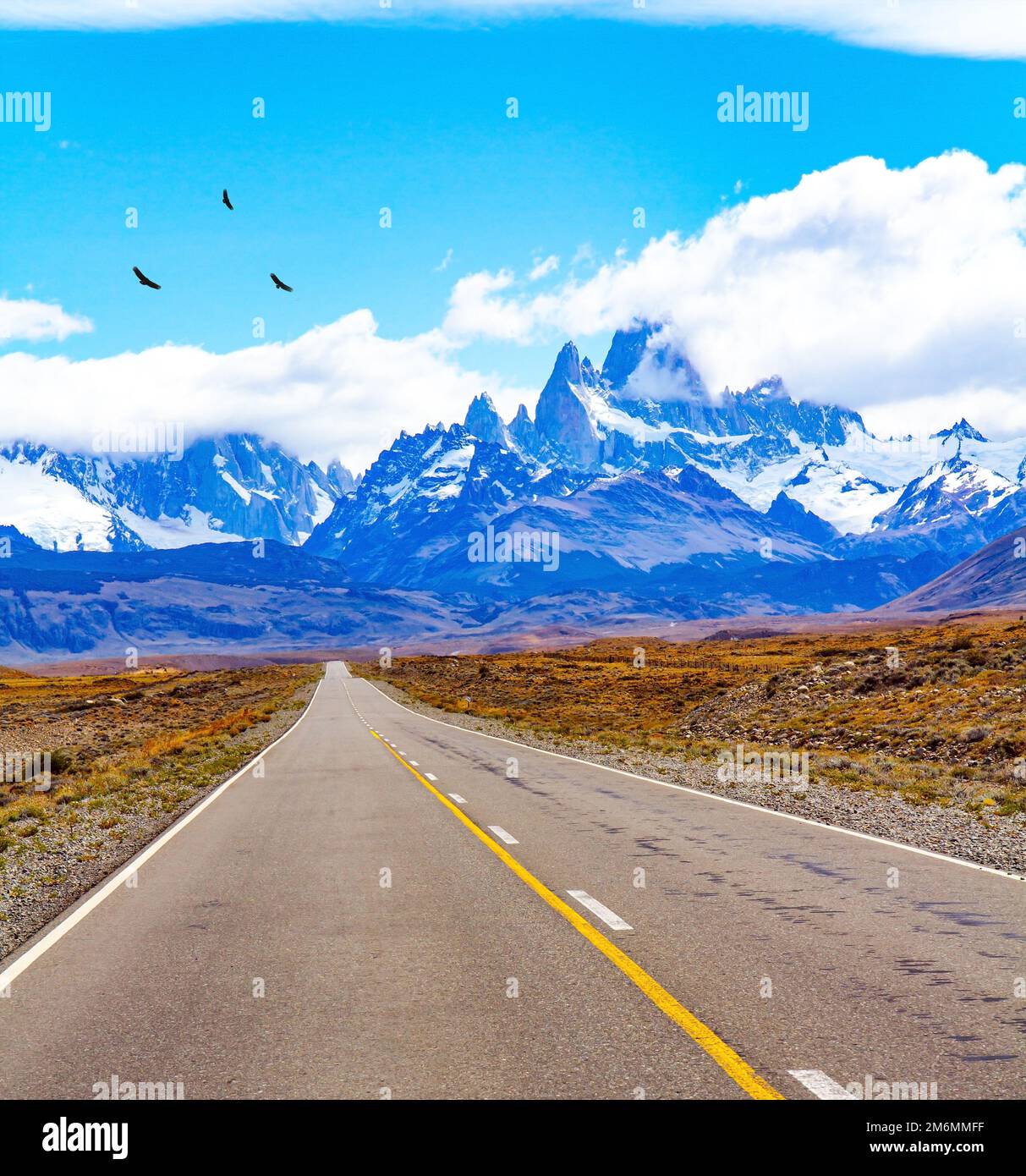 Birds road hi-res stock photography and images - Alamy