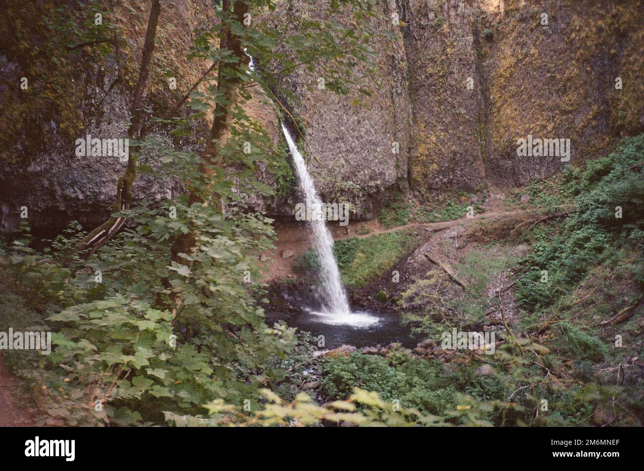 Horsetail Falls - Portland, Oregon Stock Photo - Alamy