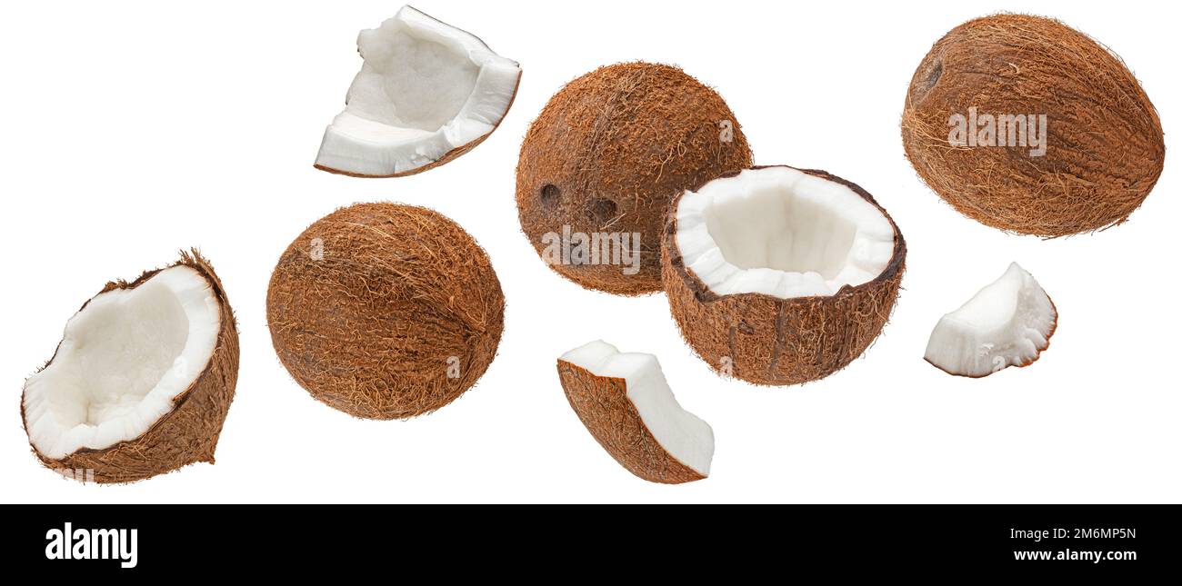 Falling coconuts isolated on white background Stock Photo - Alamy
