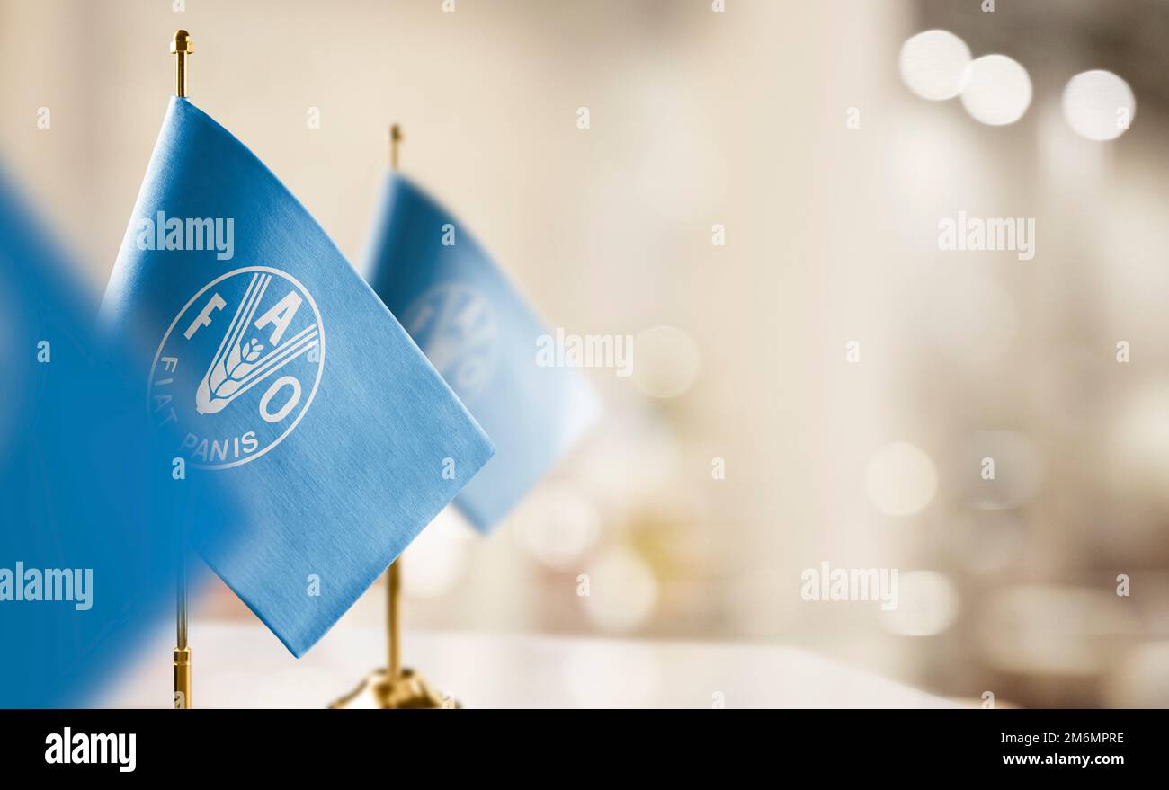 Small flags of the Food and agriculture organization on an abstract ...
