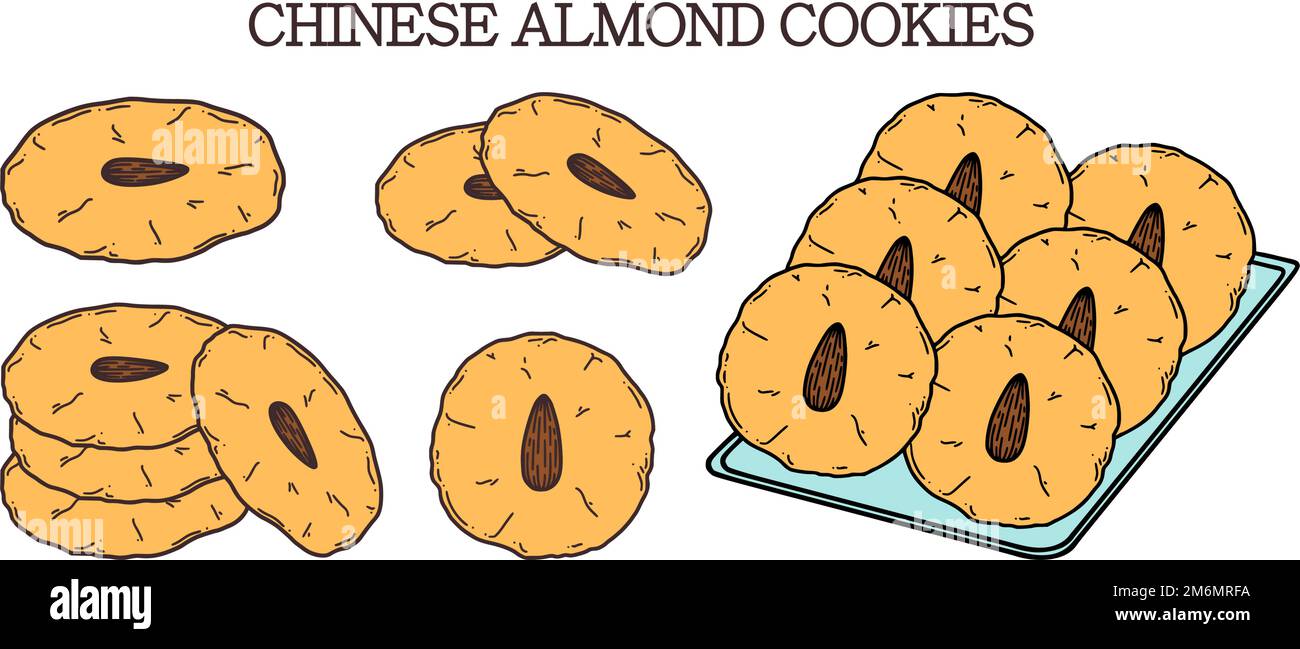 Chinese almond cookies vector illustration. Chinese New year dessert ...