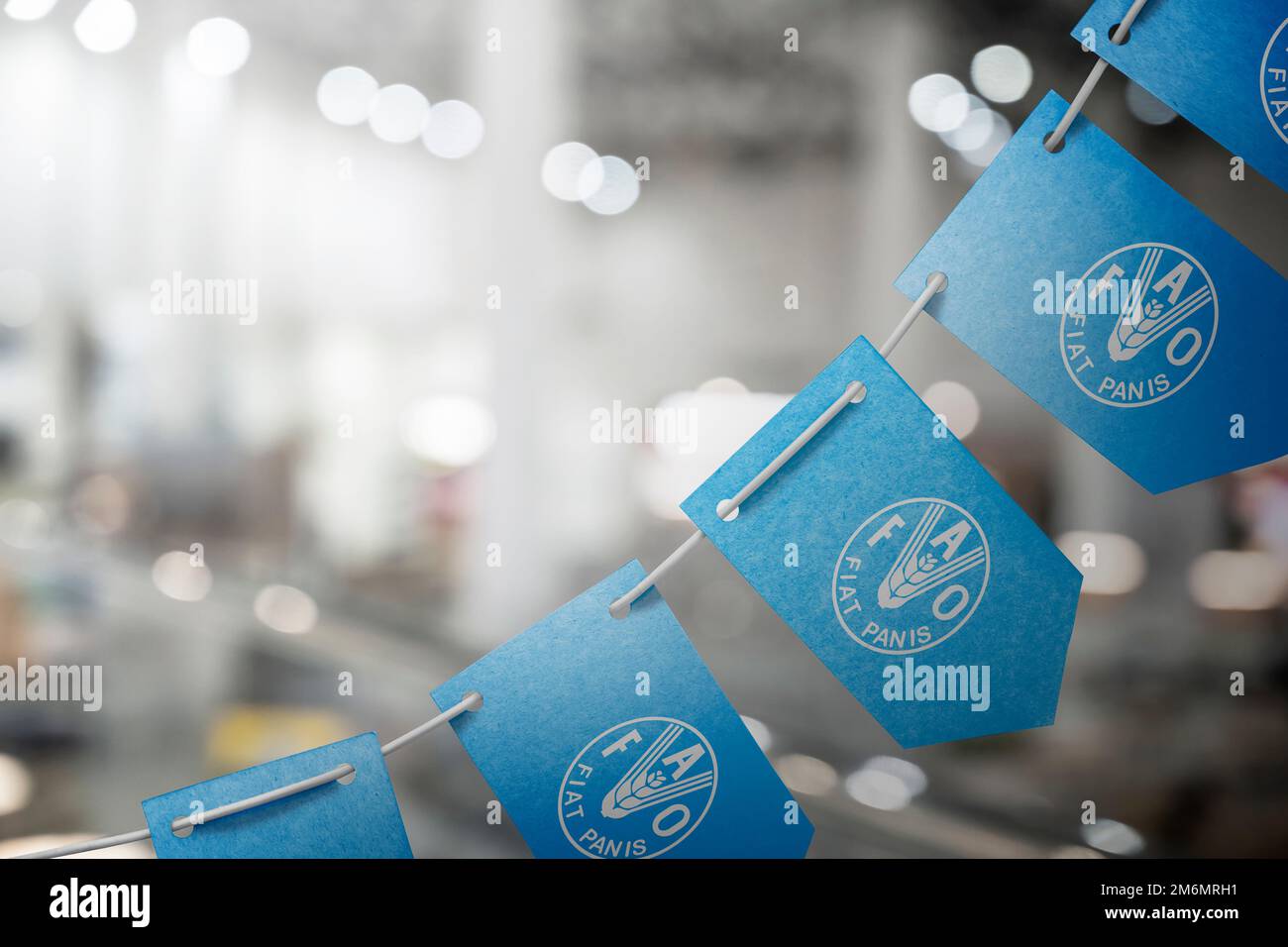 A garland of Food and agriculture organization national flags on an ...