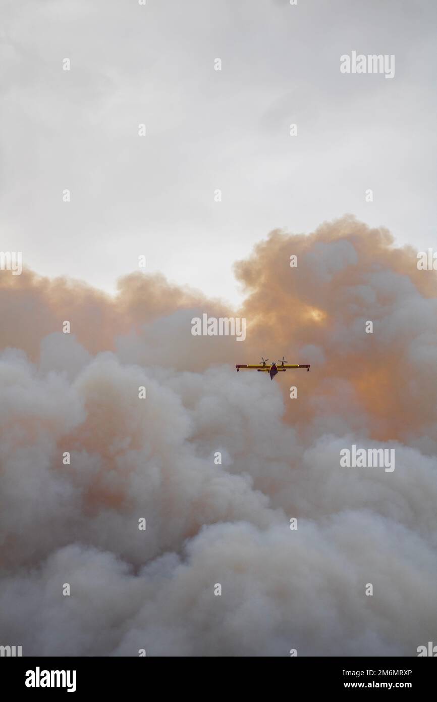 A vertical shot of a plane flying in the great flares of a forest fire ...