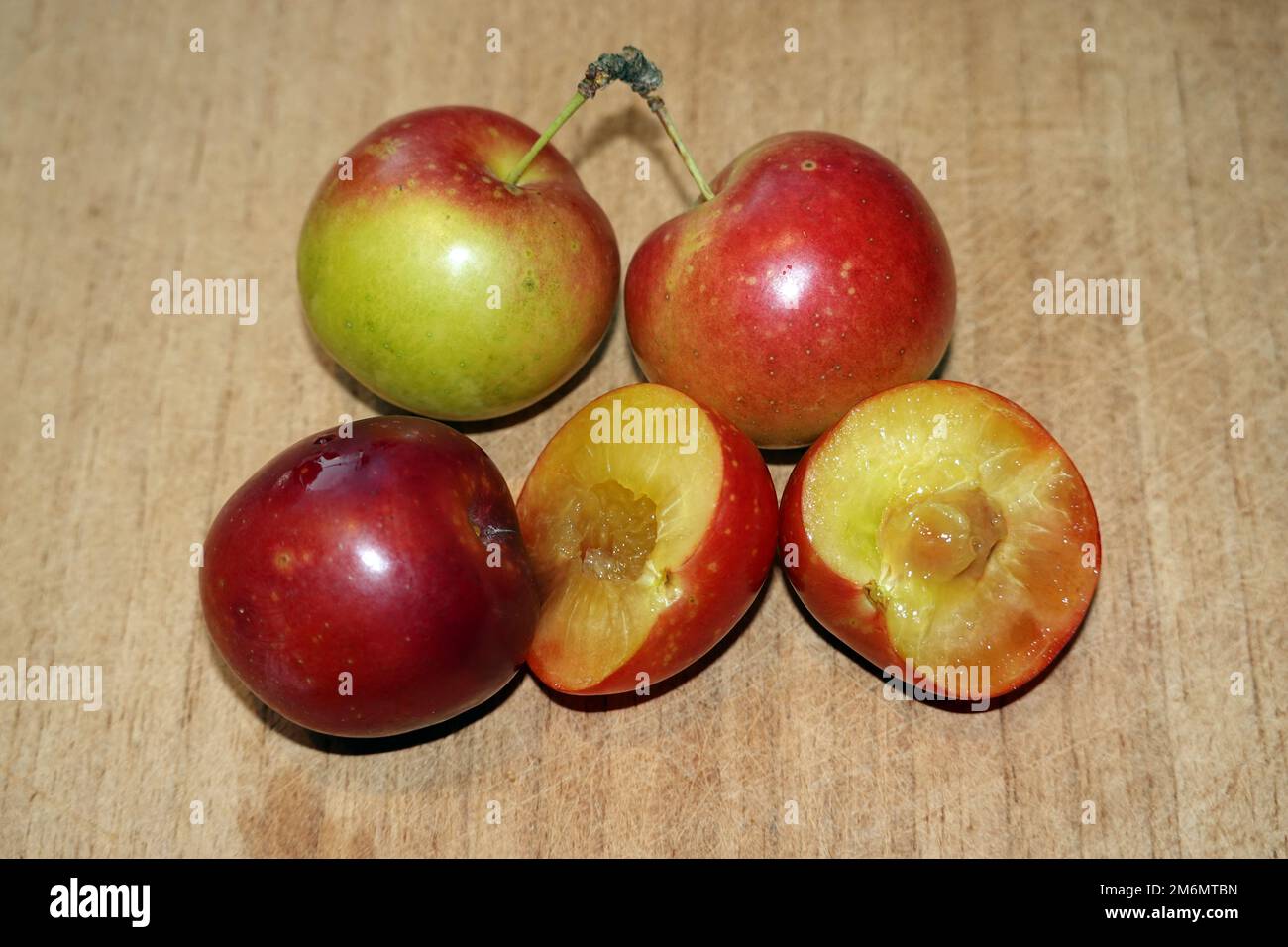 Cherry plums (Prunus cerasifera Stock Photo - Alamy