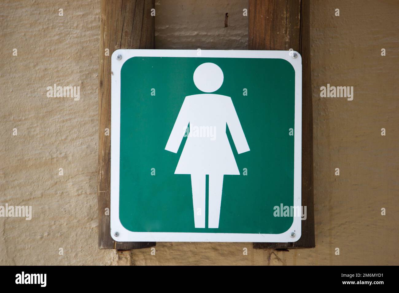 White stylised woman's figure on green background indicating ladies ...