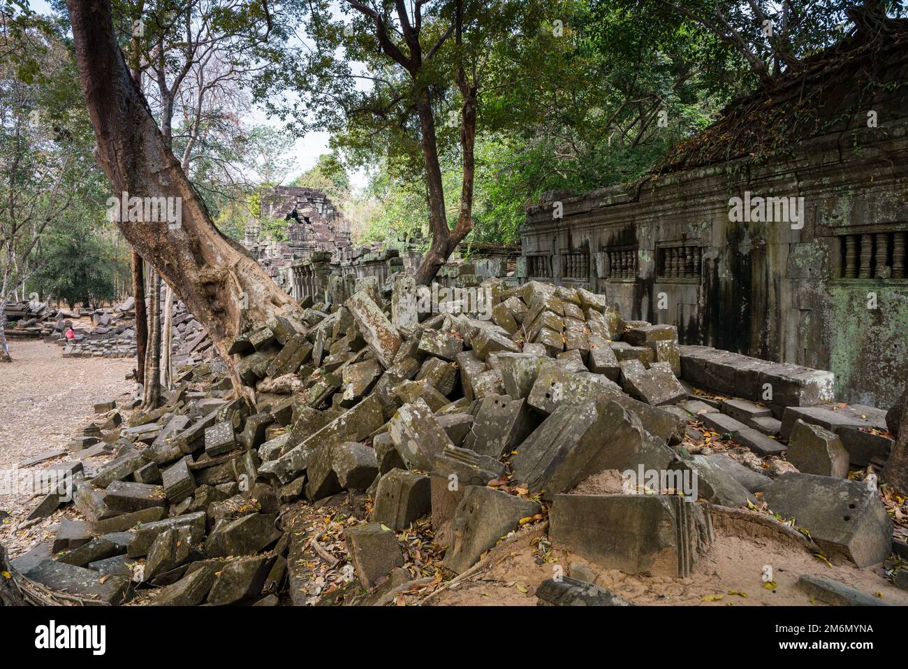Angkor Wat, landscape Stock Photo - Alamy