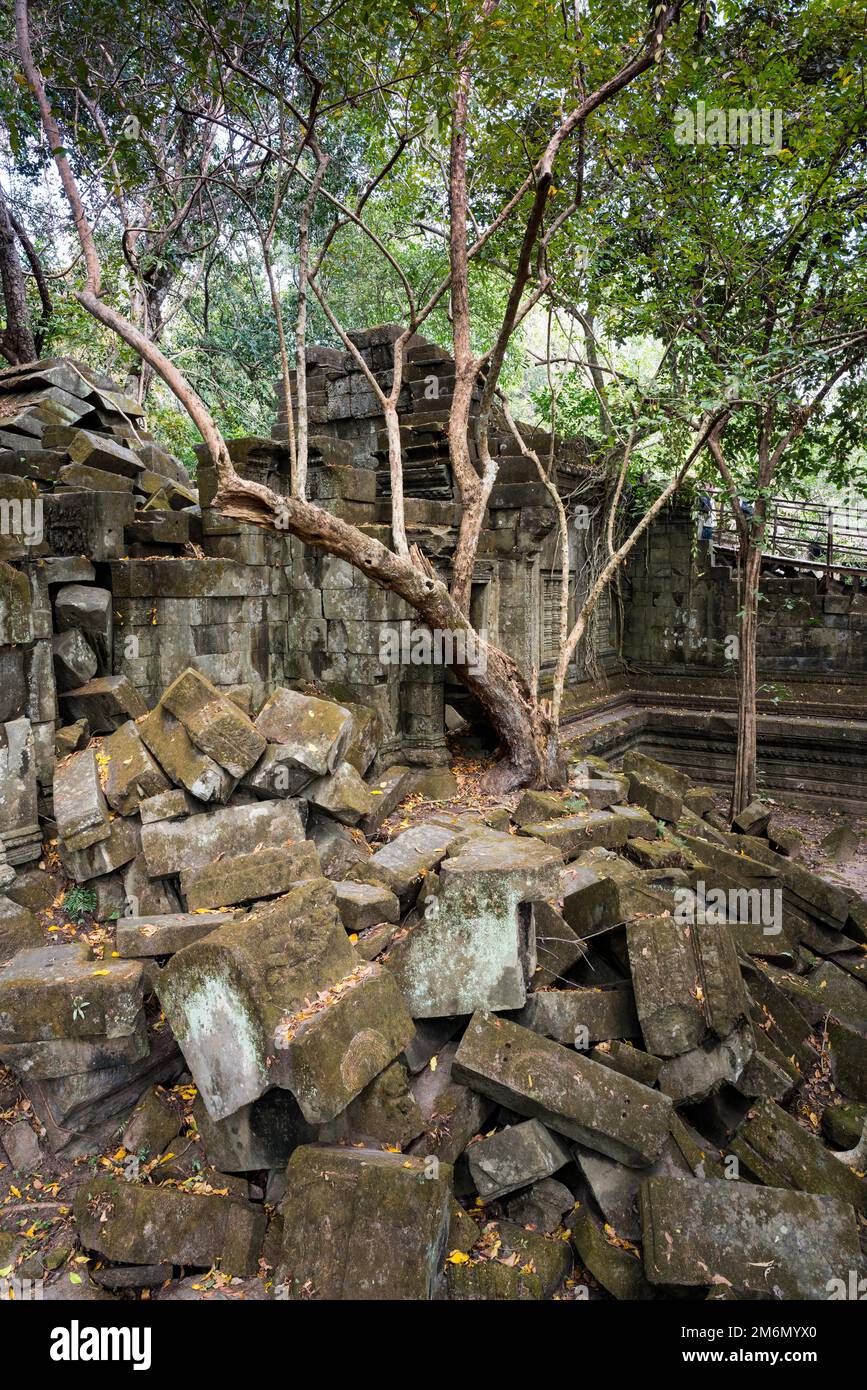 Angkor Wat, landscape Stock Photo - Alamy