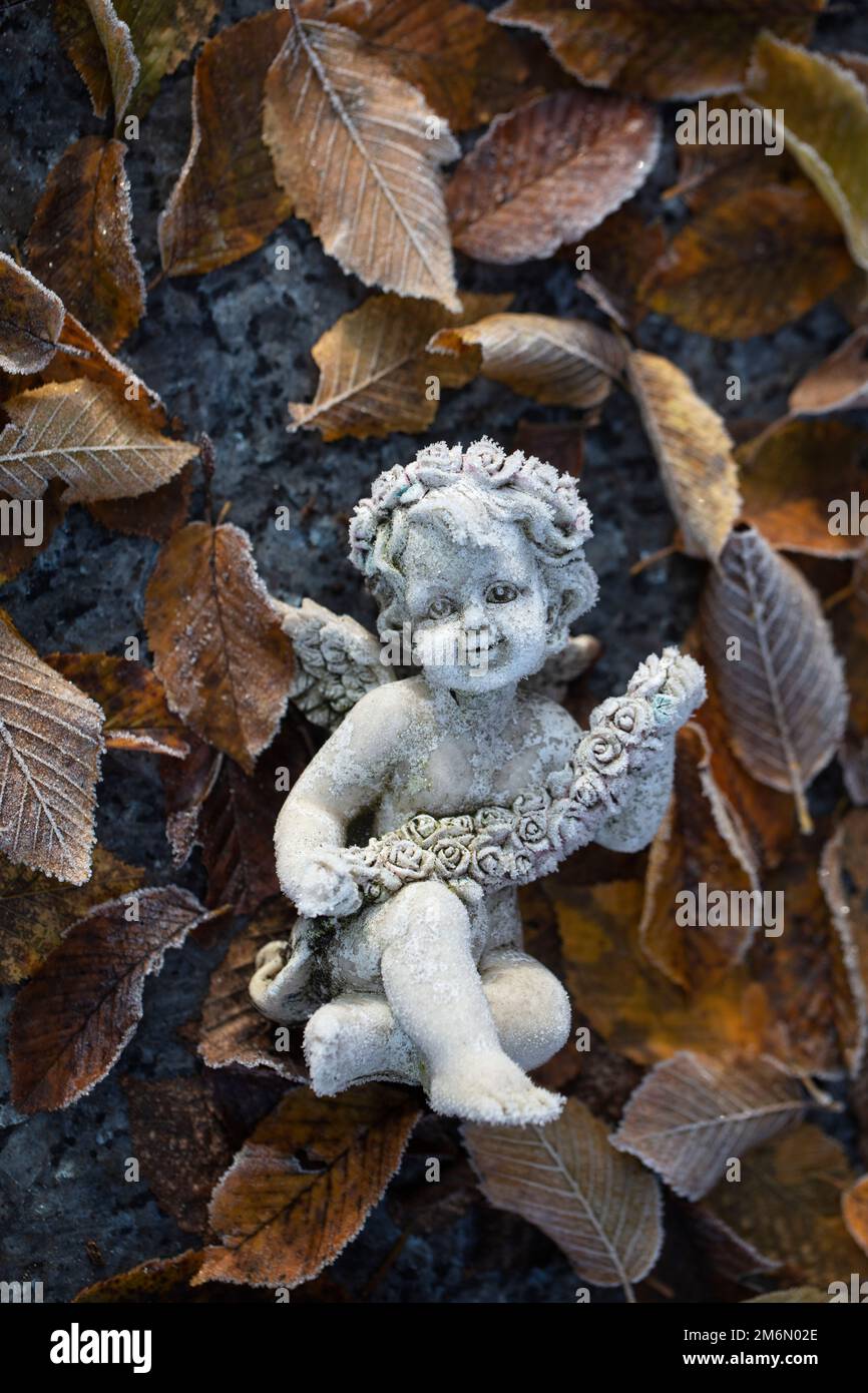 Icy angel statuette surrounded by leaves in winter Stock Photo - Alamy