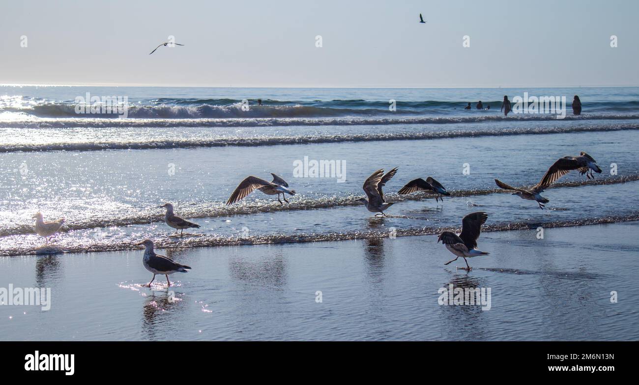 Grupo en la playa hi-res stock photography and images - Alamy