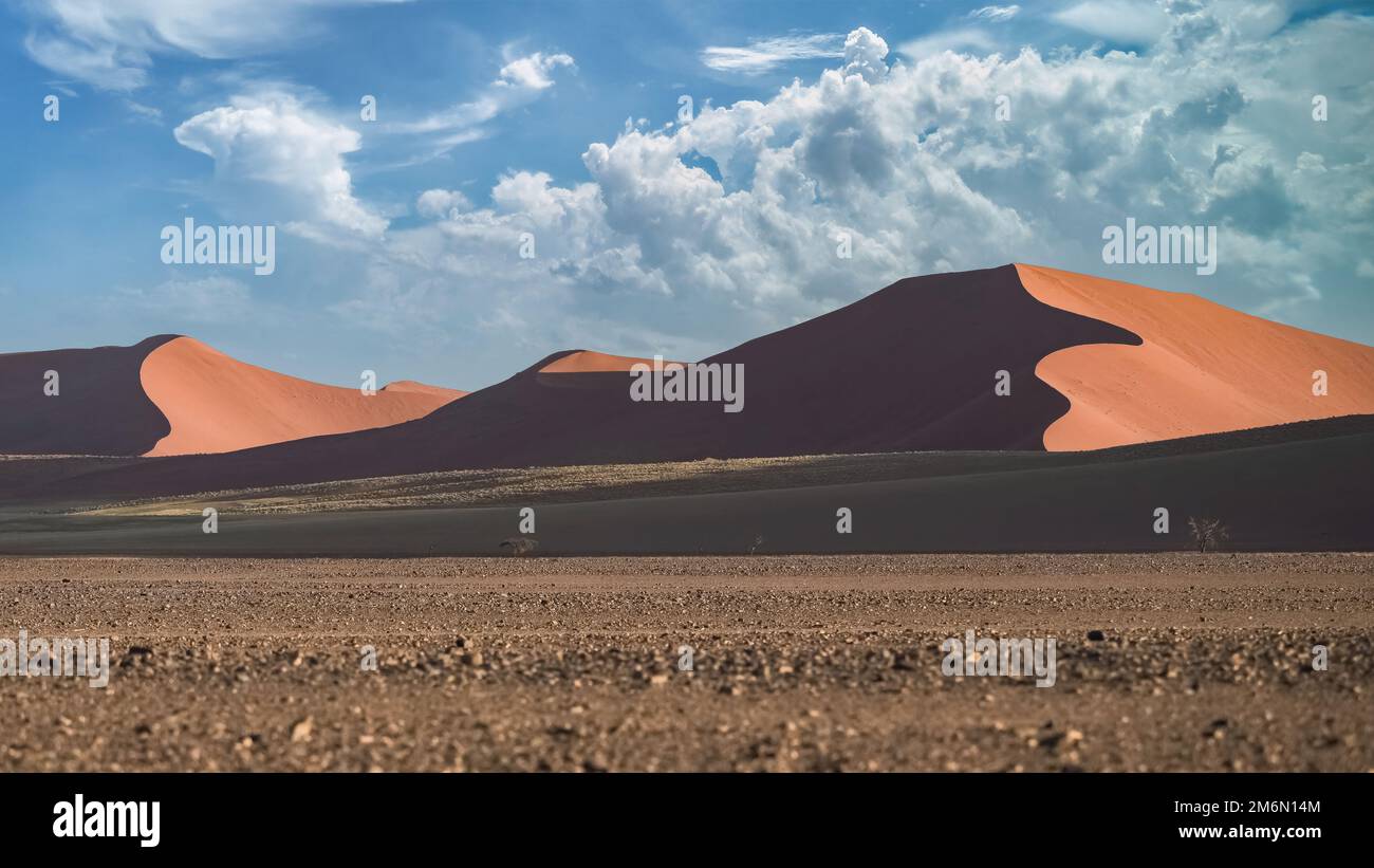 Namibia, the Namib desert, graphic landscape of red dunes Stock Photo ...