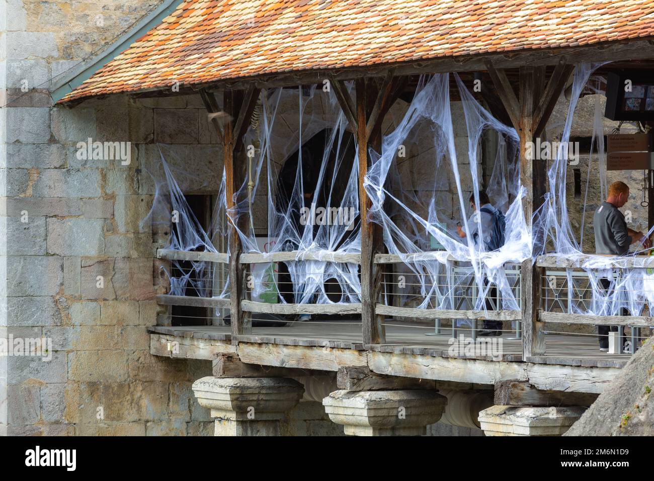Concept spiderweb hi-res stock photography and images - Alamy