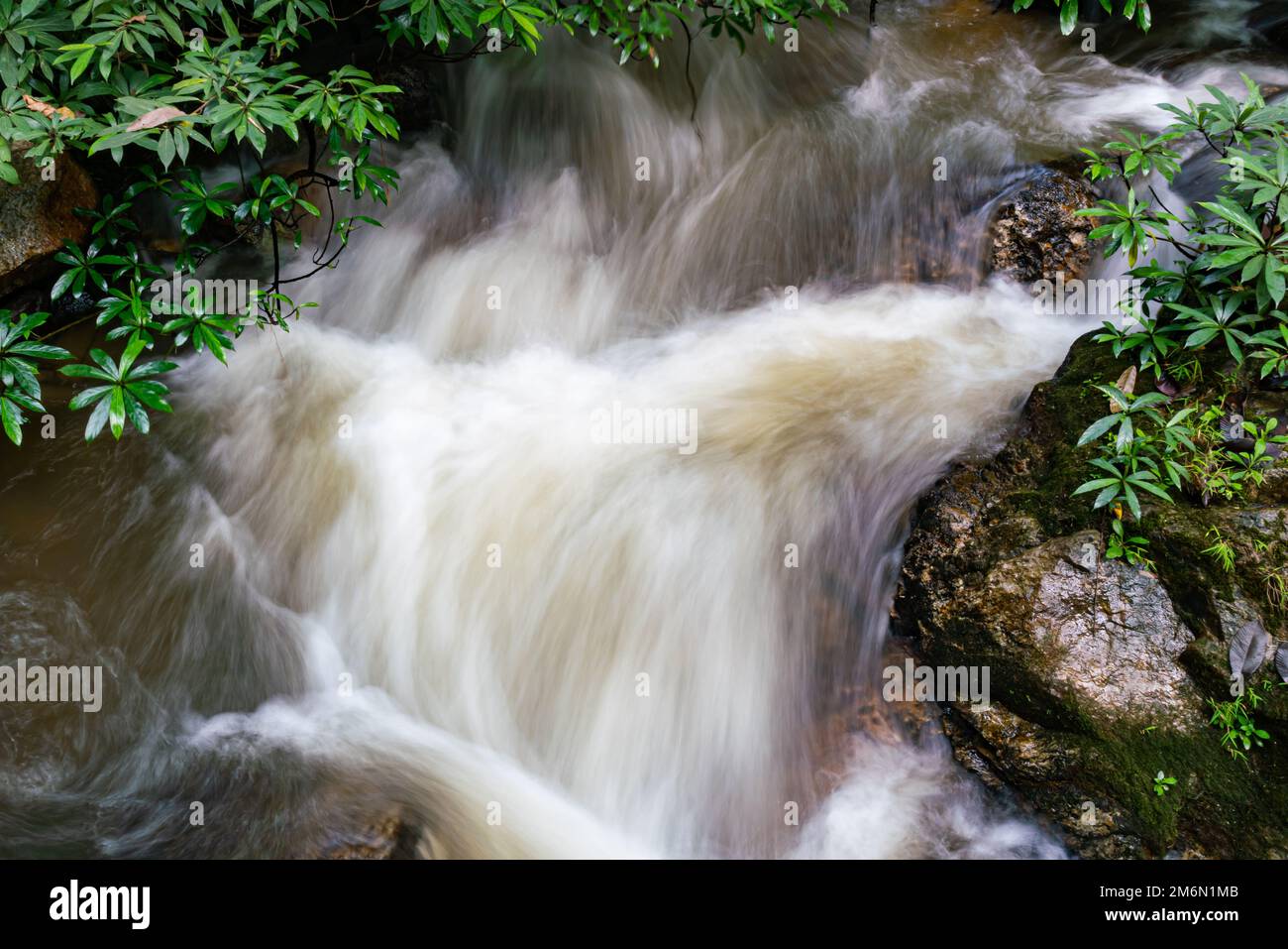 Closeup view of clear natural mountain stream water flowing over the ...