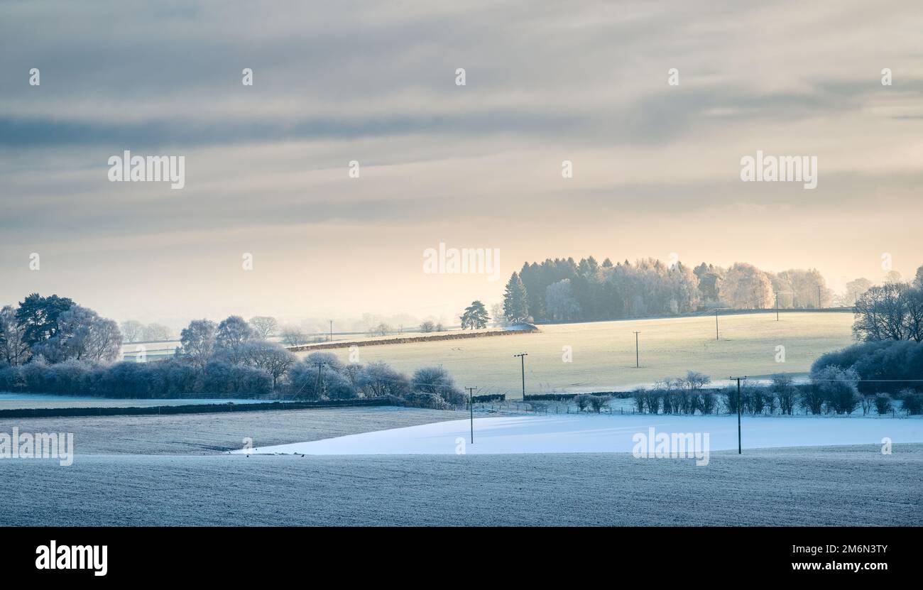 Discoverability hi-res stock photography and images - Alamy