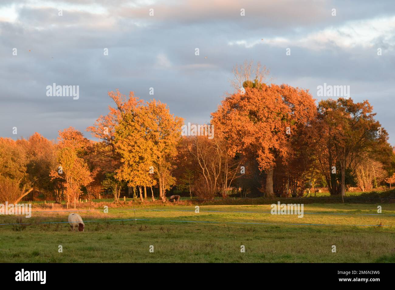 Photoofthaday hi-res stock photography and images - Alamy