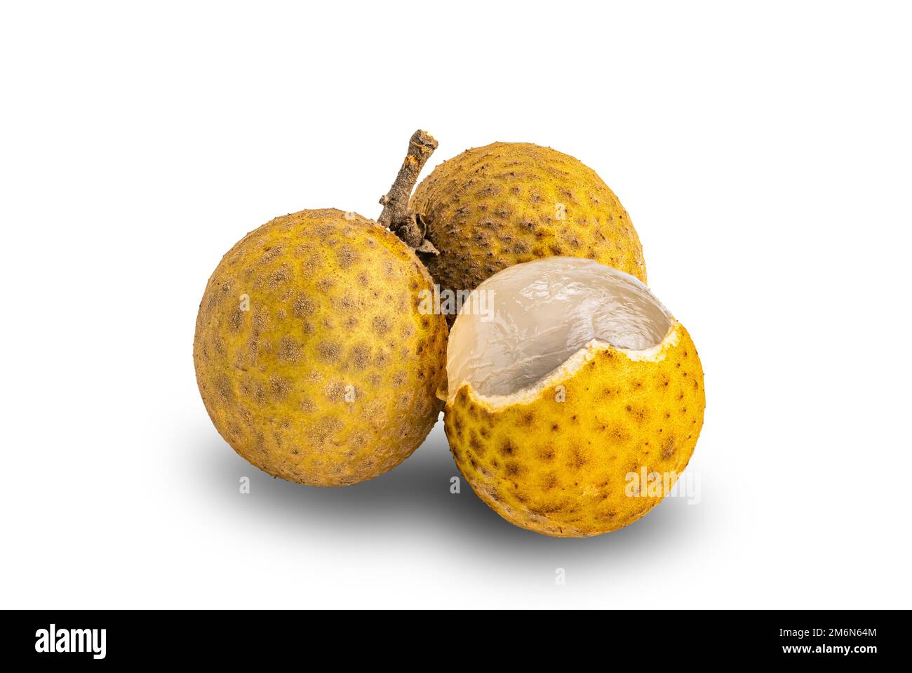 Ripe fresh longan fruit whole and a half peeled isolated on white ...