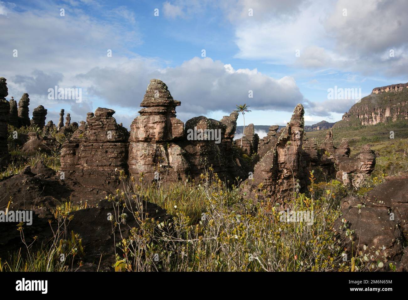 Sandstone rock formations with black pillars and columns on Amuri Tepui ...