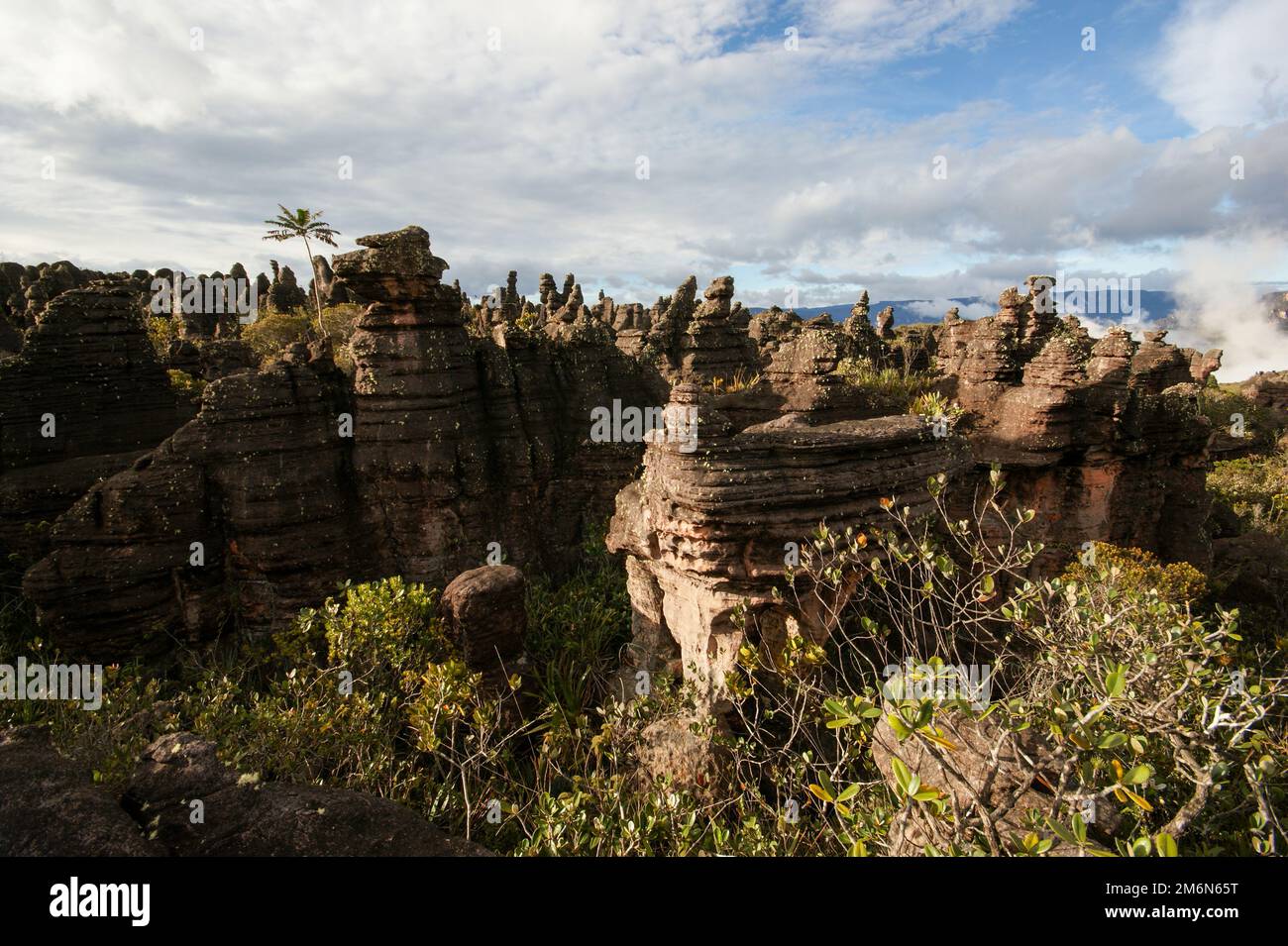 Sandstone rock formations with black pillars and columns on Amuri Tepui ...
