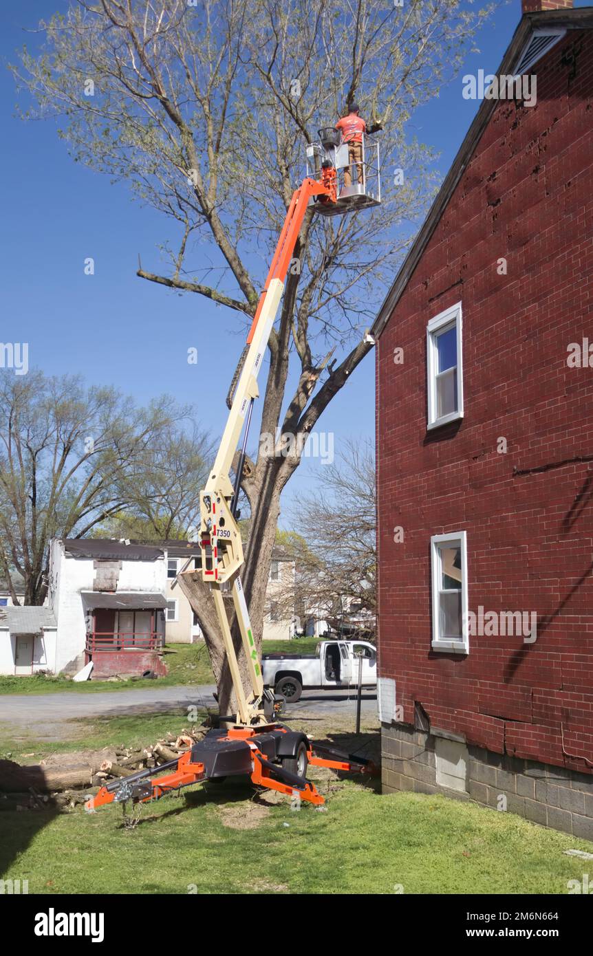 Large crane used to cut tree limb Stock Photo - Alamy