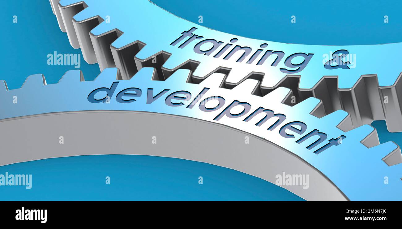Training and development word on gears Stock Photo - Alamy