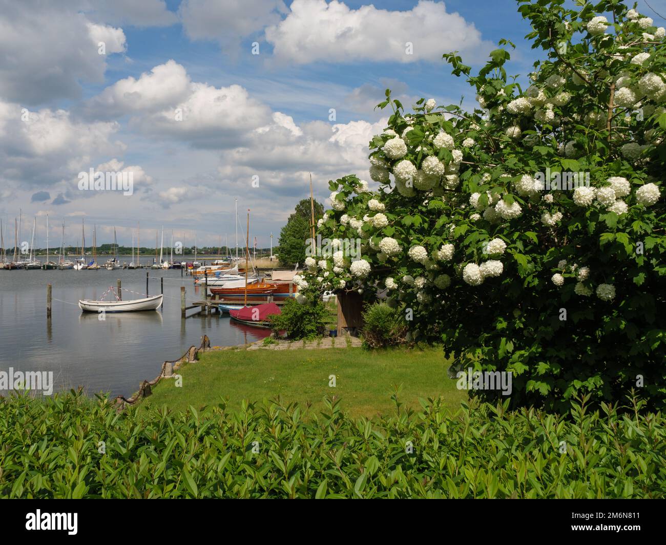 Arnis at the river schlei Stock Photo - Alamy