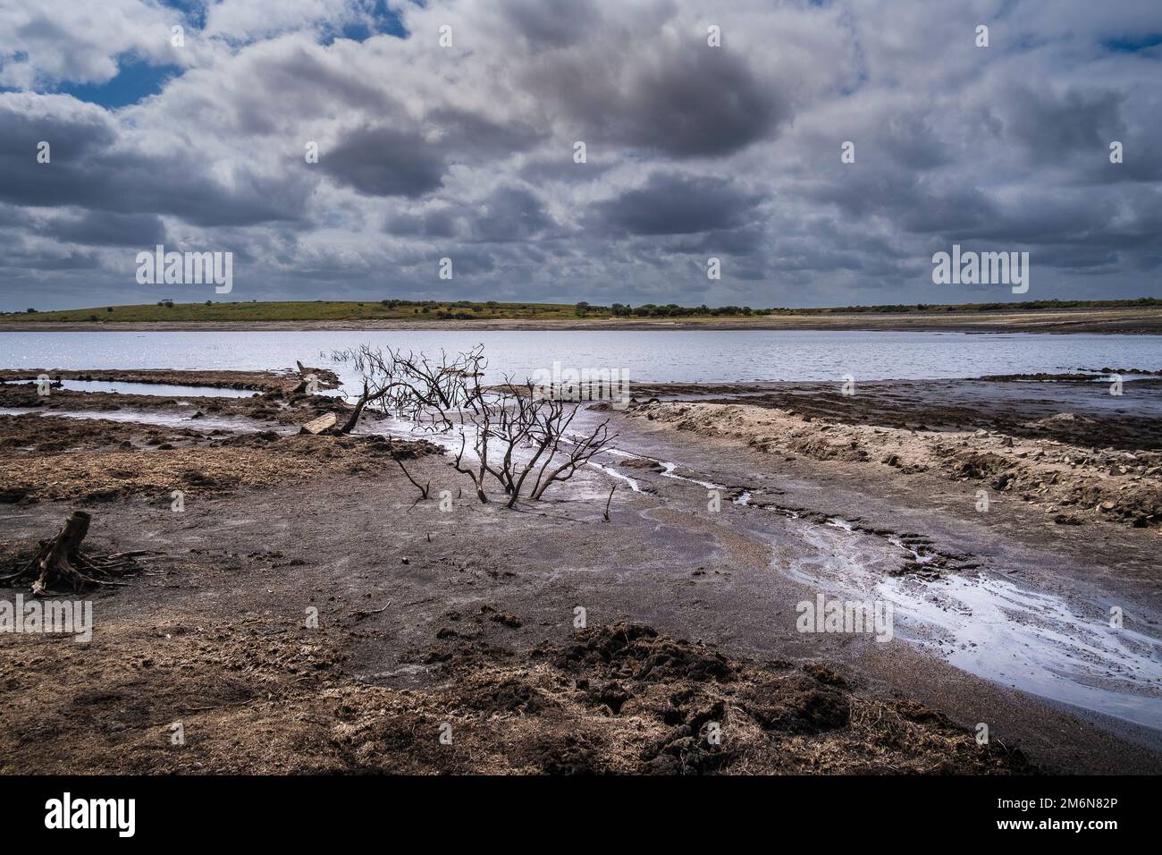 Receding shoreline caused by falling water levels caused by severe ...